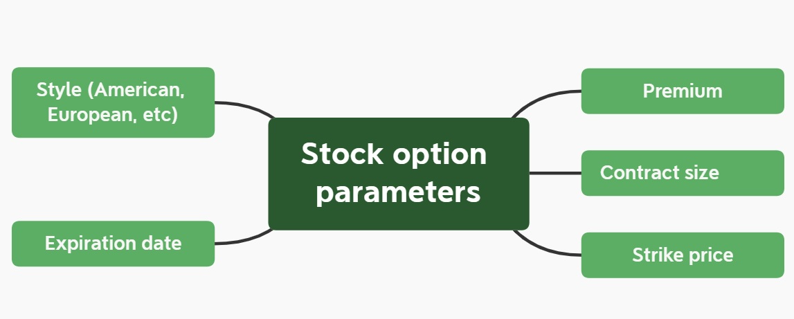 What Are Stocks Options & How Do They Work?